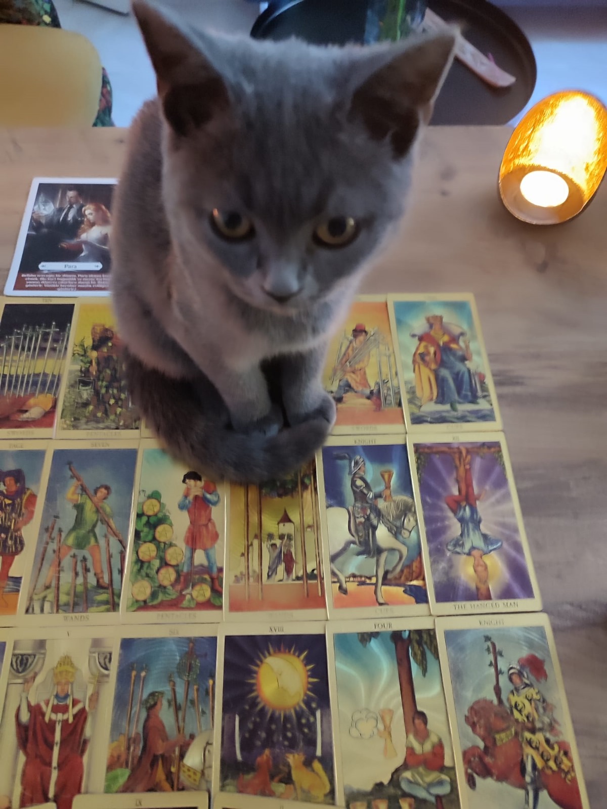 Tarot Kartları - pelintekin.com.tr